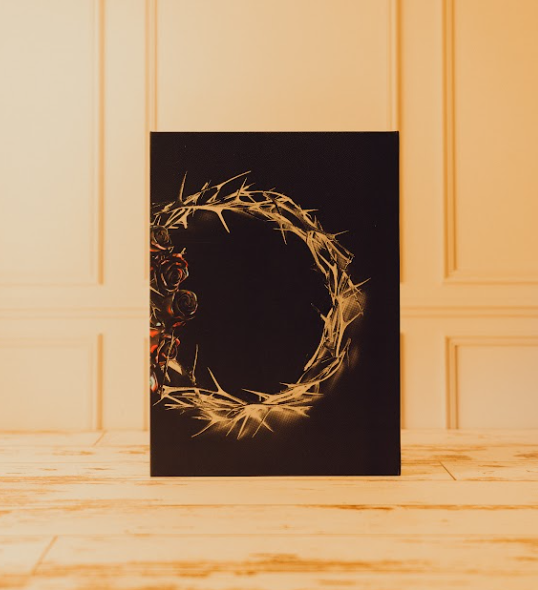 The Rose - 2nd Full Length Album "DUAL" (Deluxe Box Album) – Insa ...